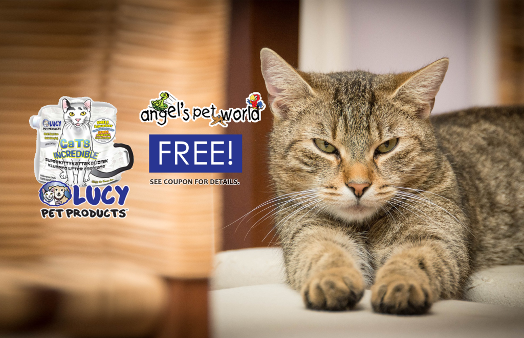 Lucy Pet Product Litter - Angel's Pet World