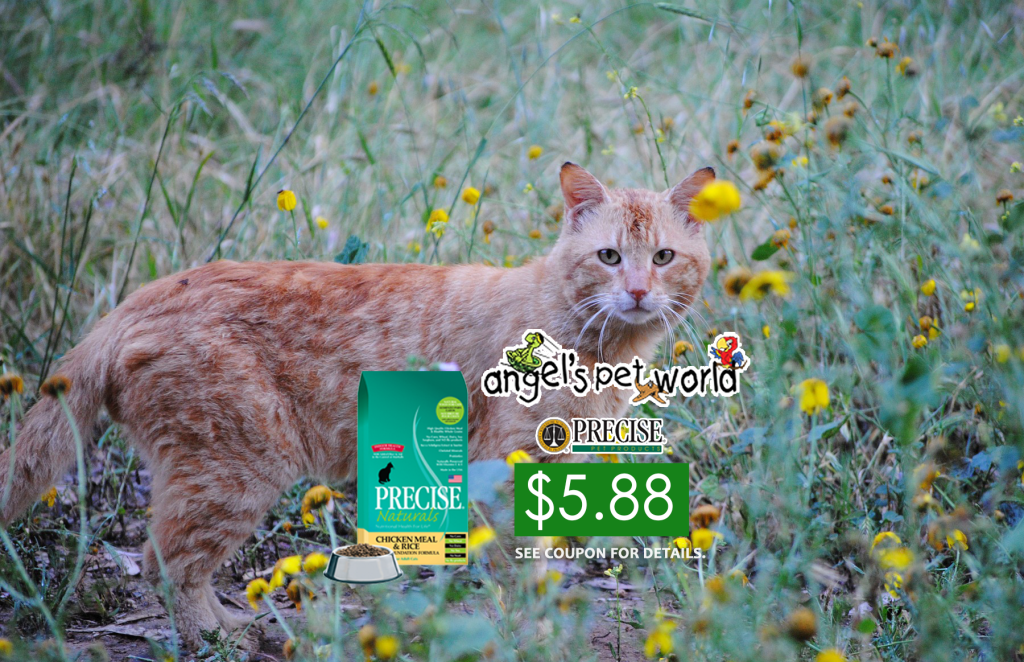 Precise Cat Food - Angel's Pet World