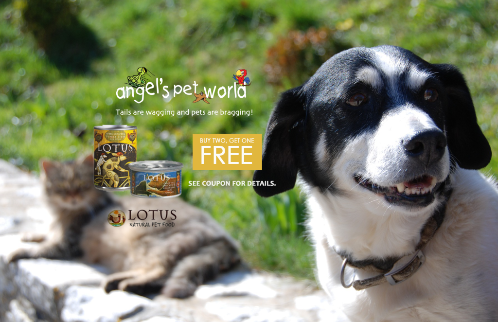 Lotus Dog and Cat Cans - Angel's Pet World - Pet Supplies