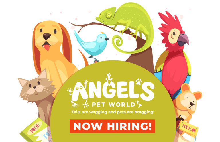 Now Hiring - Angel's Pet World